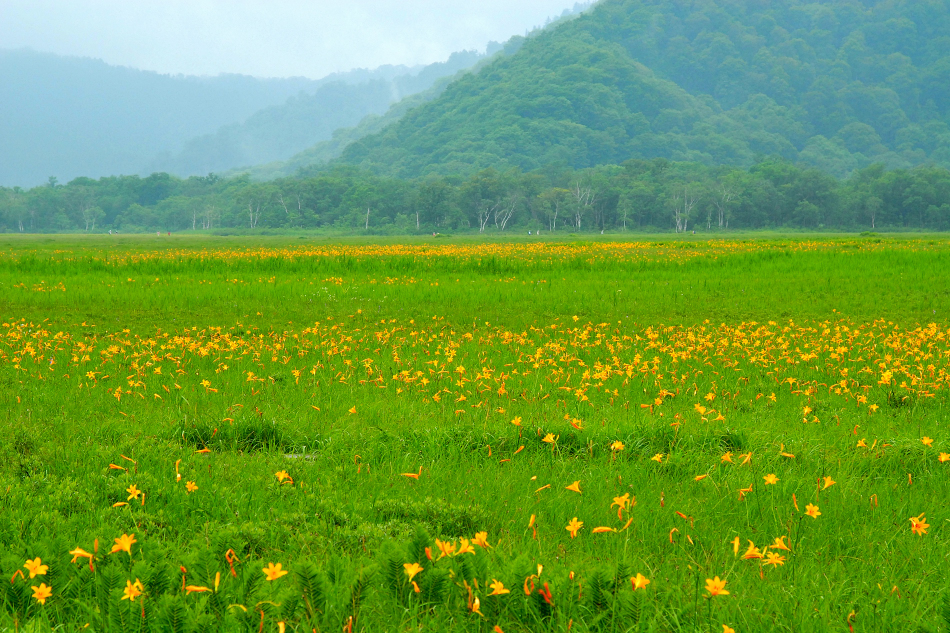 Kano鉄道局 尾瀬